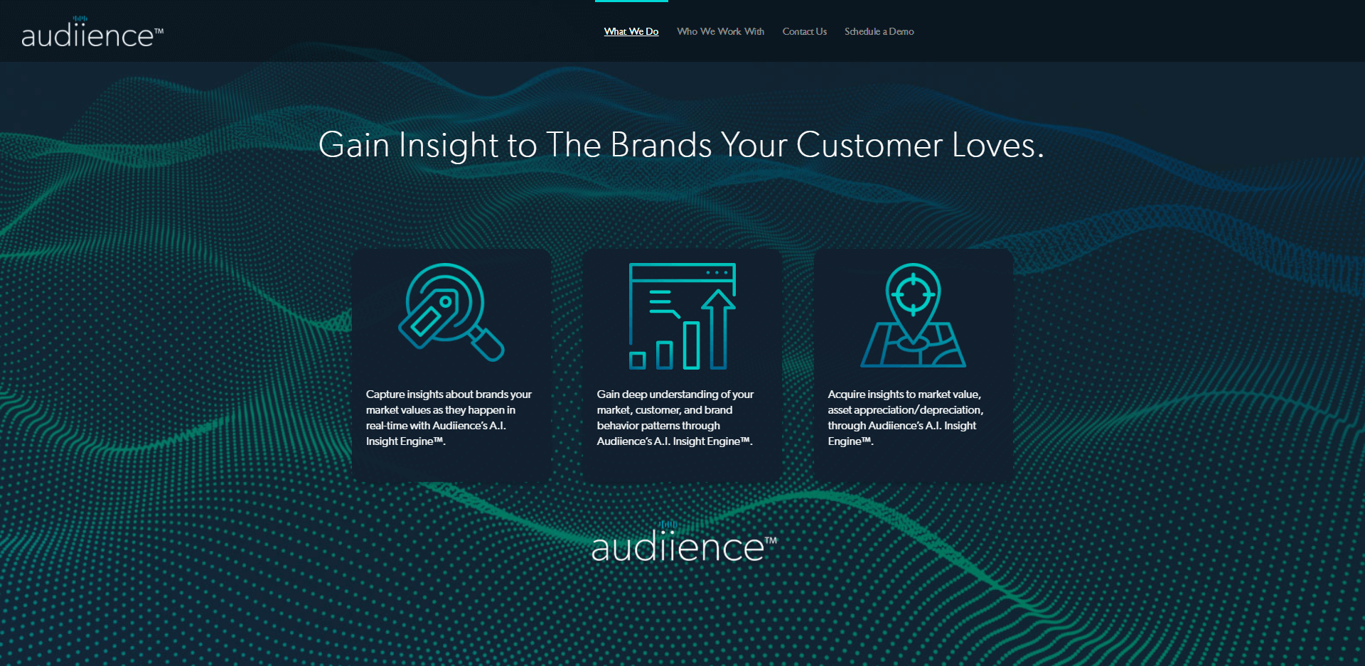 Audience website | Codeshaper | Best Software Development | Offshore ...