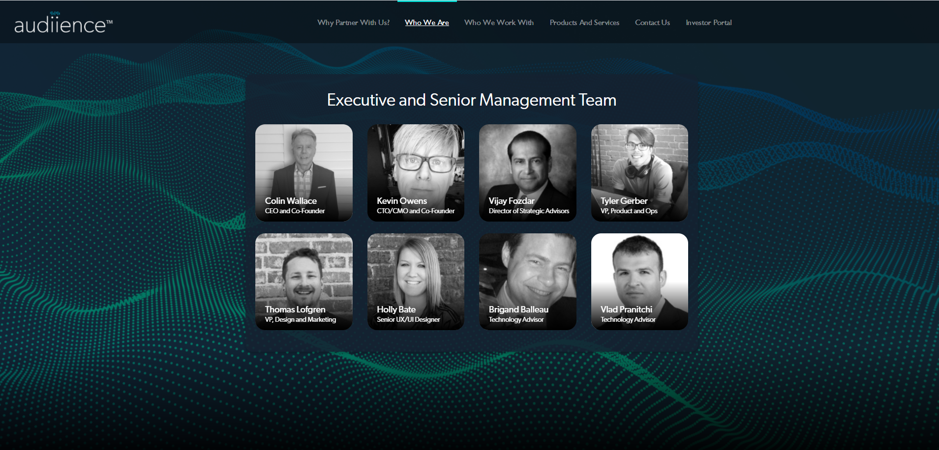 Audience website | Codeshaper | Best Software Development | Offshore ...